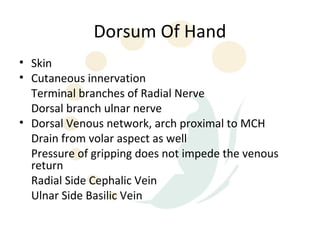 Hand anatomy | PPT