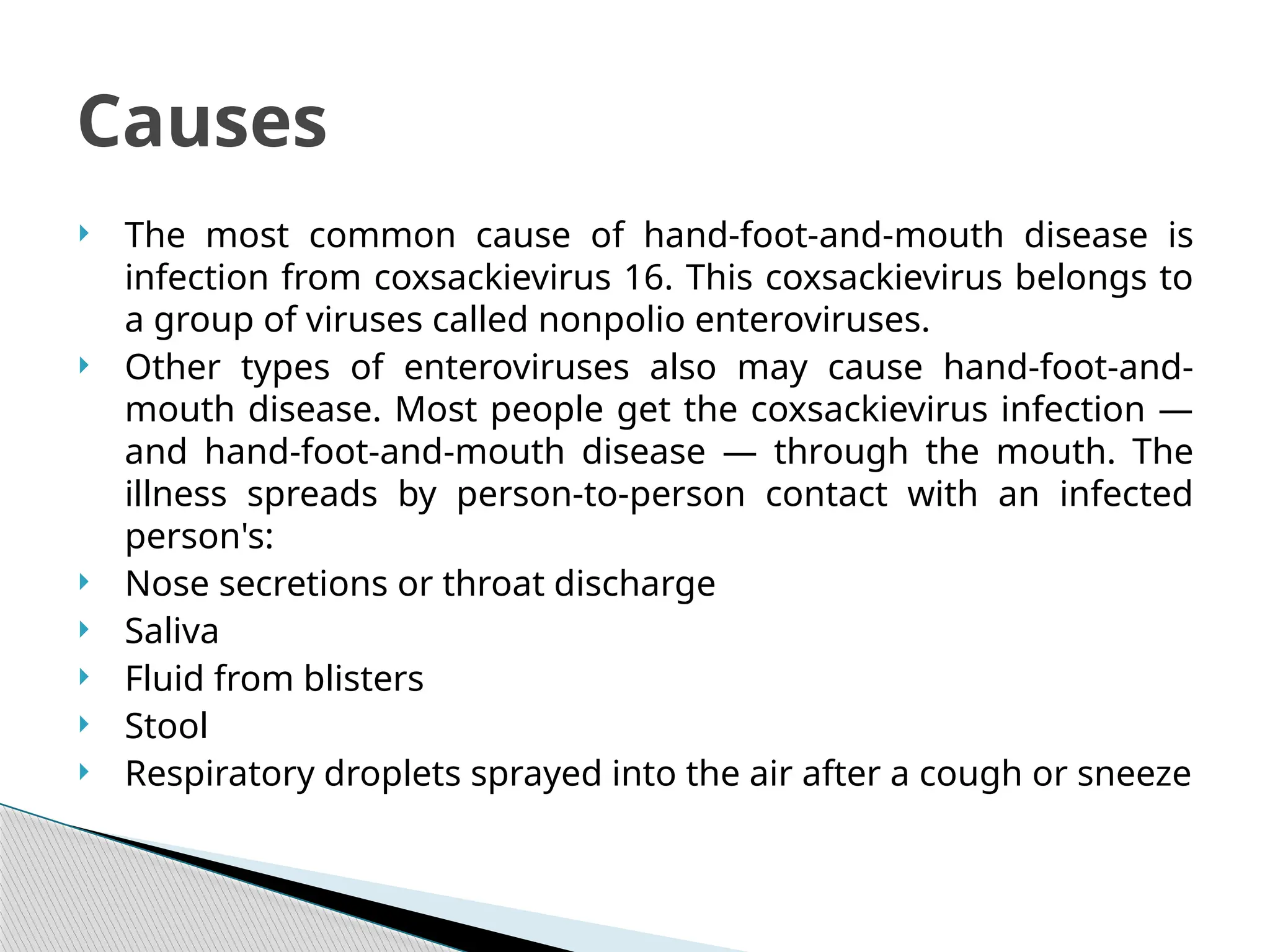 Hand -Foot and Mouth Disease PPT[8380].pptx