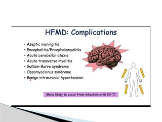 Hand -Foot and Mouth Disease PPT[8380].pptx