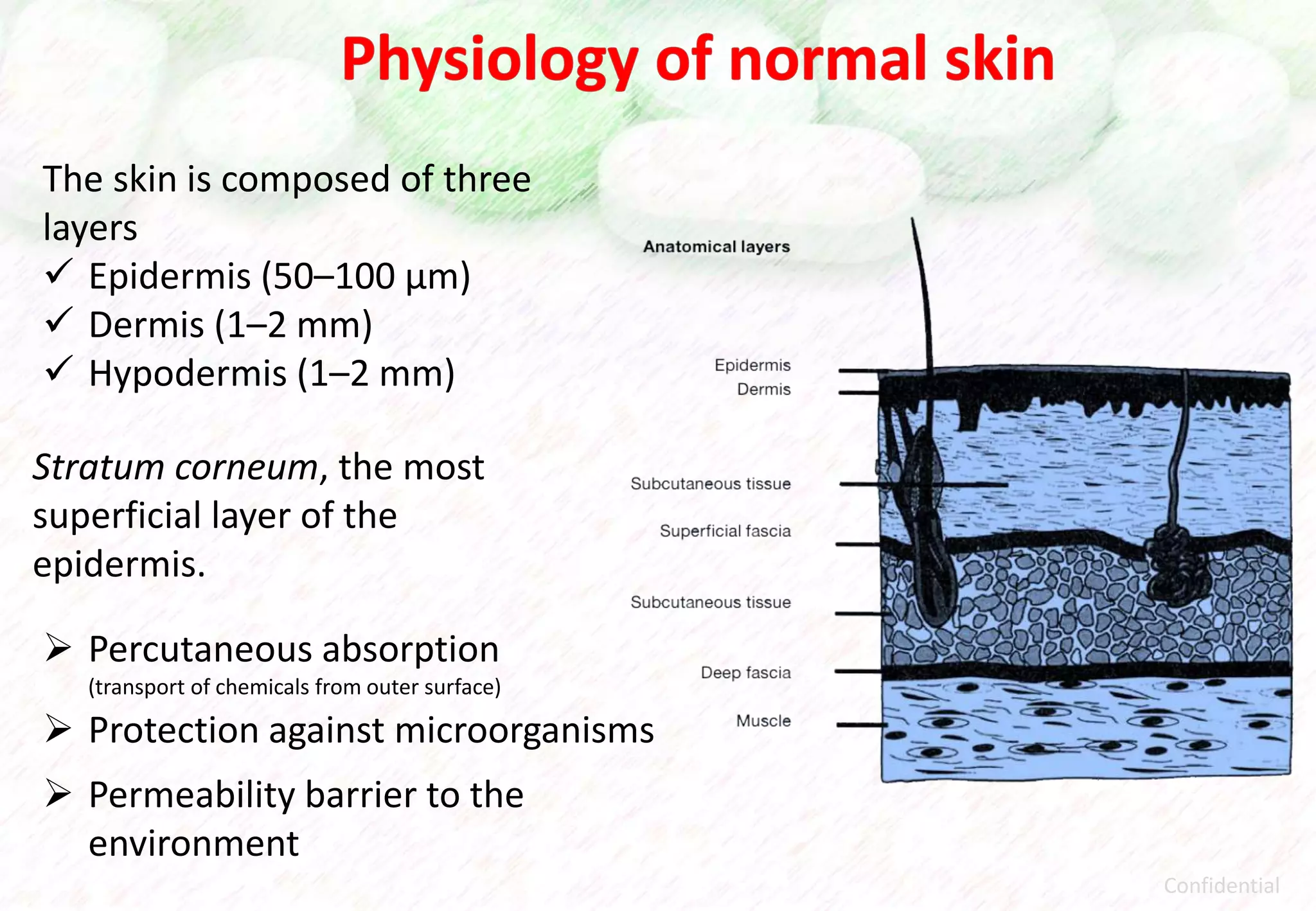 Proper Hand hygiene guidelines | PPTX