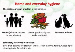 Proper Hand hygiene guidelines | PPTX