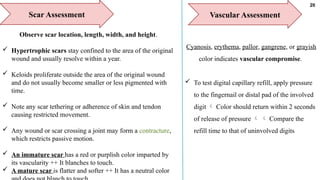 hand-impairment and common conditions that could influence the hand | PPT