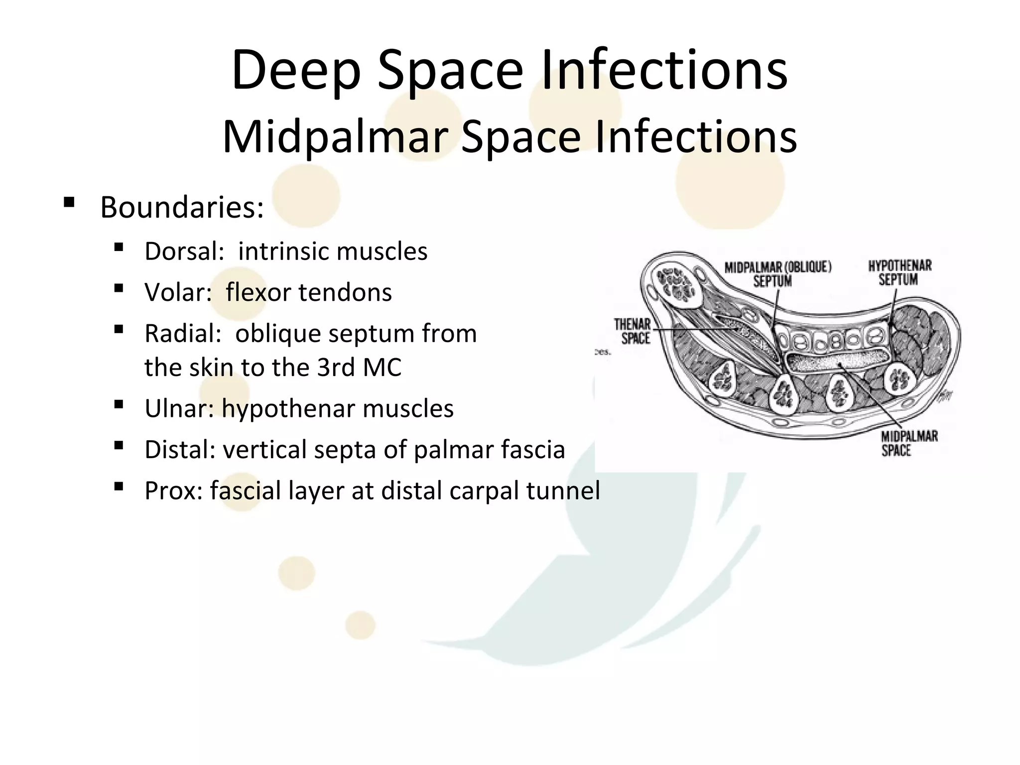 Hand infections | PPT