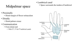 Hand-spaces and arterial arches.pptx