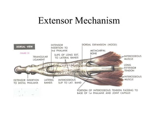 Hand 2009 (2) Questions Included Not To Post | PPT