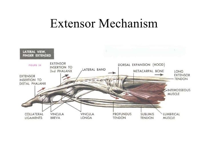 Hand 2009 (2) Questions Included Not To Post