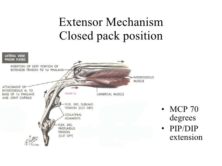 Hand 2009 (2) Questions Included Not To Post