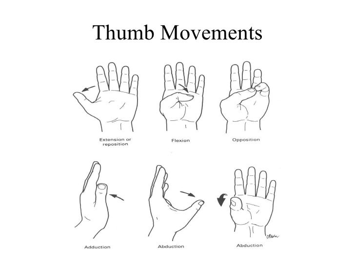 Hand 2009 (2) Questions Included Not To Post