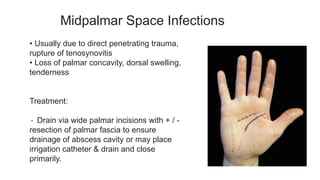 A BRIEF PRESENTION ON HAND AND HAND INFECTIONS | PPTX