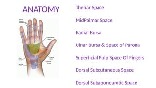 A BRIEF PRESENTION ON HAND AND HAND INFECTIONS | PPTX