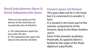 A BRIEF PRESENTION ON HAND AND HAND INFECTIONS | PPTX