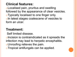 HAND ABSCESS SEMINAR.pptx