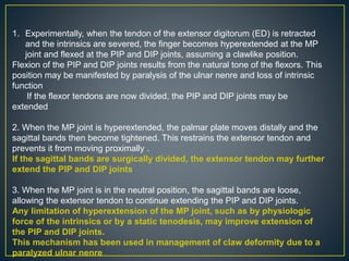 Hand anatomy- harsh amin | PPTX