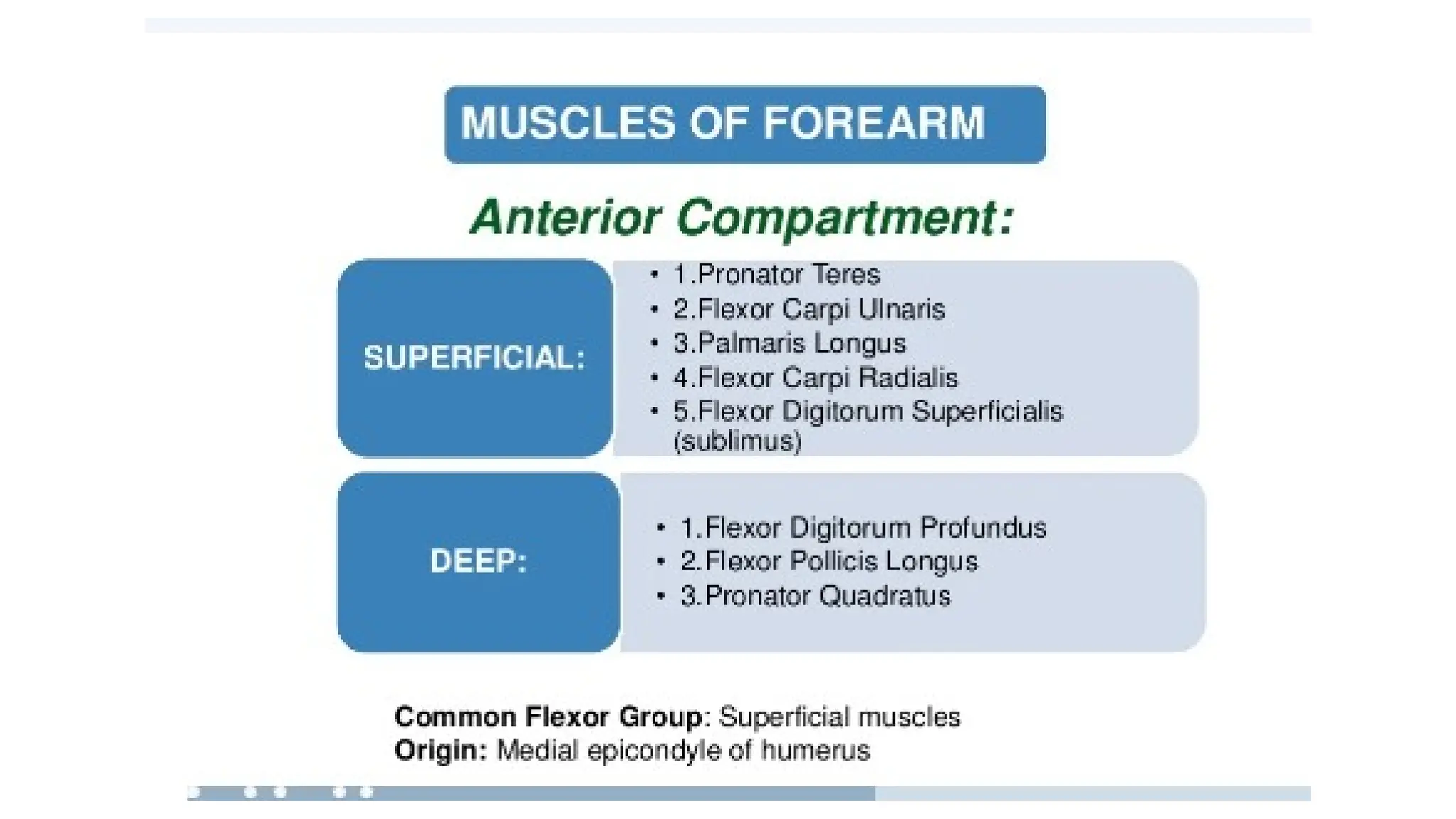 Hand and Upper limb Anatomy related to hand transplantation | PPTX