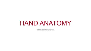 Anatomy of hand with blood supply and nerves supplying the forearm and ...