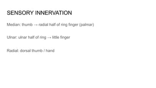 Anatomy of hand with blood supply and nerves supplying the forearm and ...