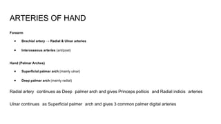 Anatomy of hand with blood supply and nerves supplying the forearm and ...