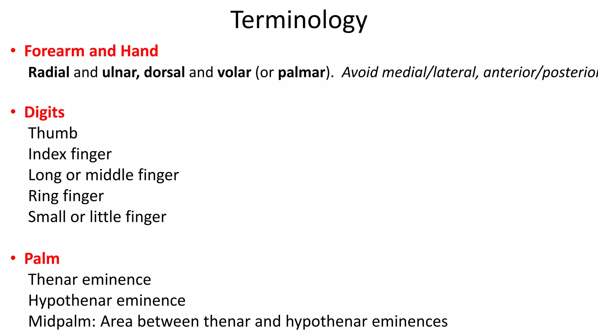 Hand anatomy 1 | PDF