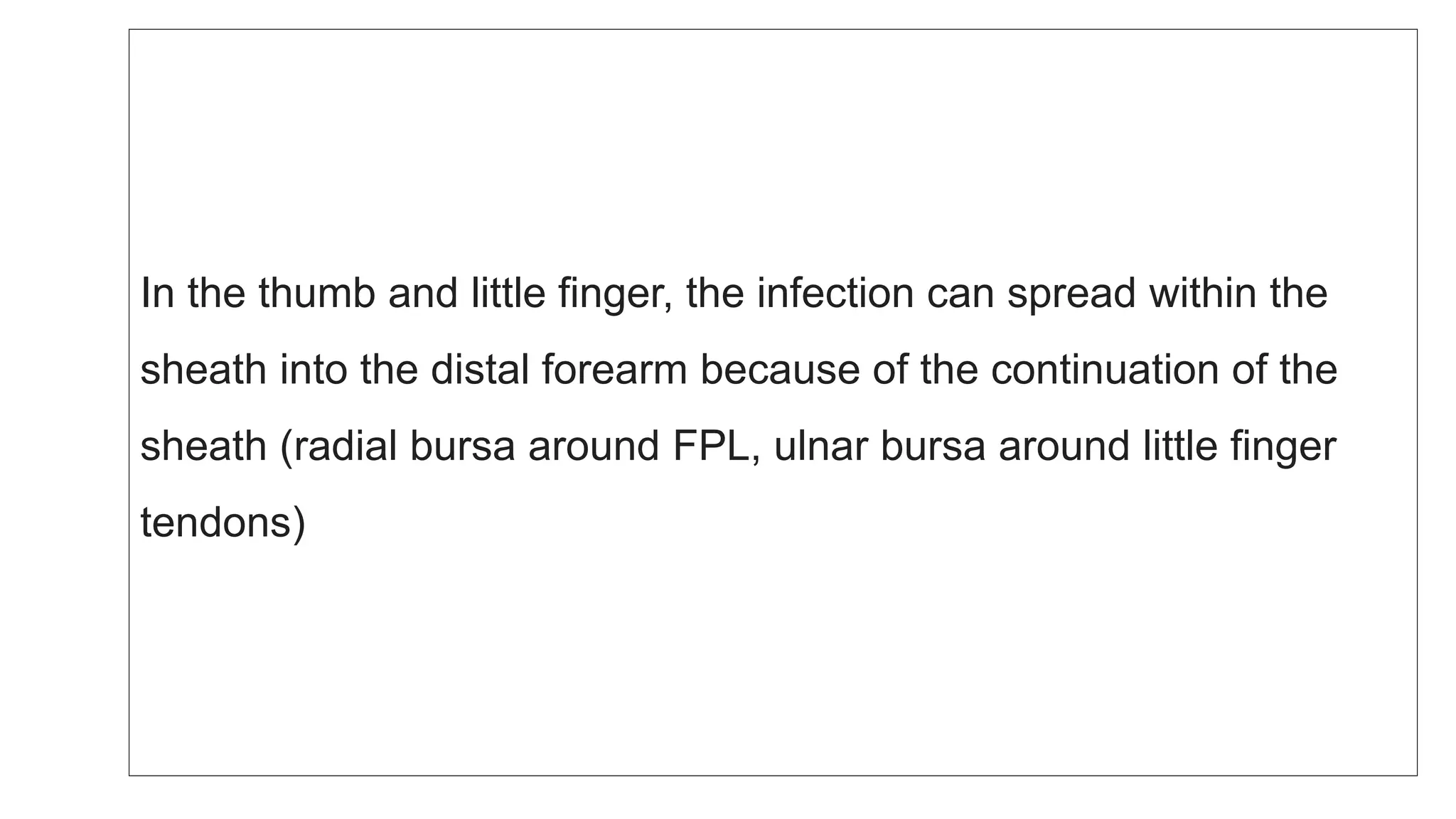 Hand anatomy 1 | PDF