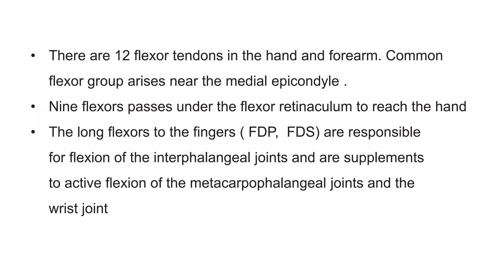Hand anatomy 1 | PDF