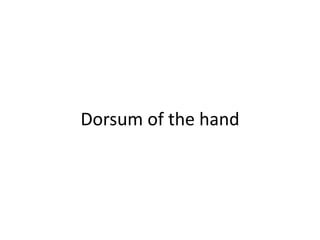 Hand anatomy 2017 new microsoft power point presentation | PPTX
