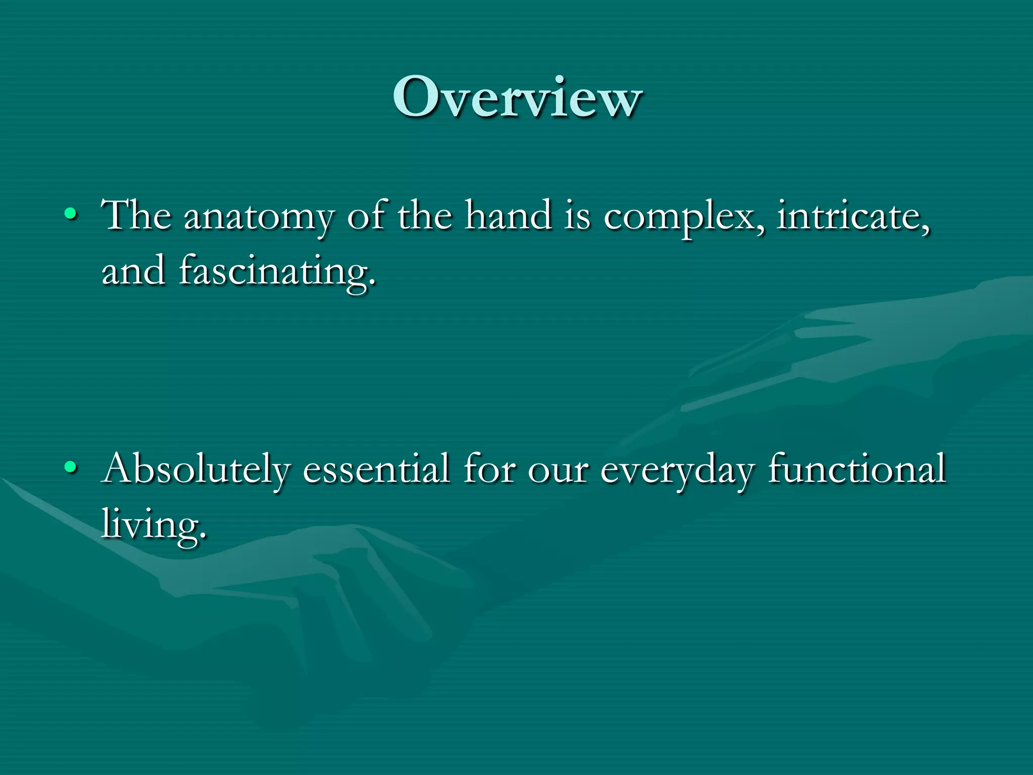 Hand anatomy new | PPT