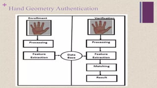 HAND AND GEOMETRY IN BIOMETRICS OF PHYSIOLOGICSL CHARACTERISTICS | PPTX ...
