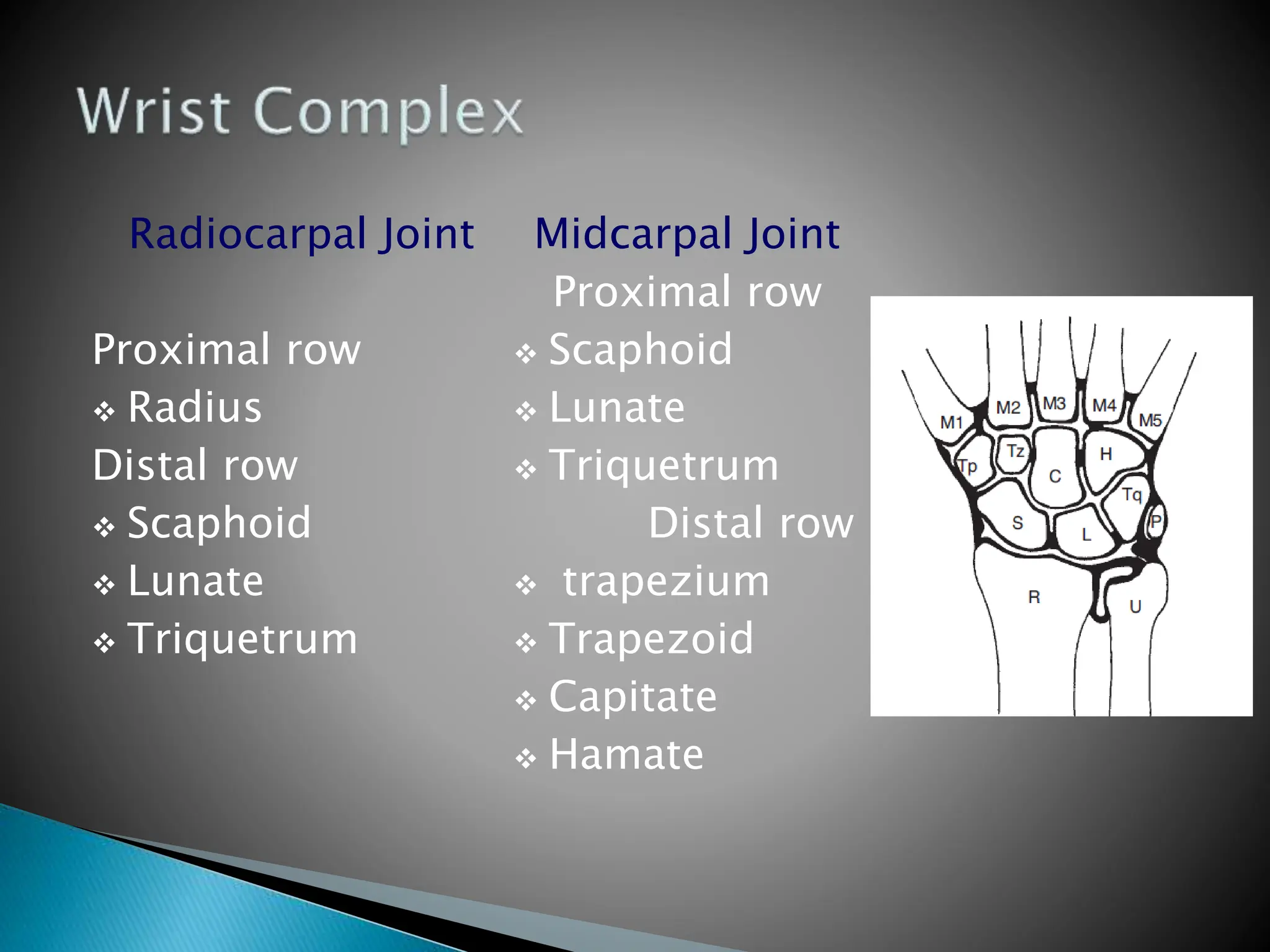 Biomechanics HAND AND WRIST joint ..pptx