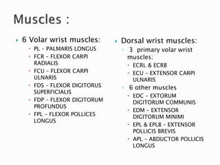 Biomechanics HAND AND WRIST joint ..pptx