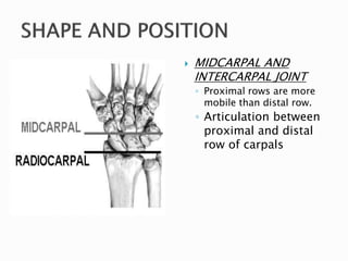 Biomechanics HAND AND WRIST joint ..pptx | Death, Injury, or Military ...