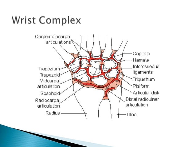 Biomechanics HAND AND WRIST joint ..pptx