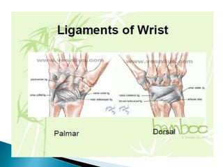 Biomechanics HAND AND WRIST joint ..pptx