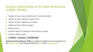 Hand and wrist joint | PPTX