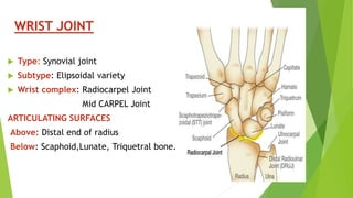 Hand and wrist joint | PPTX