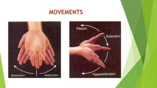 Hand and wrist joint | PPTX