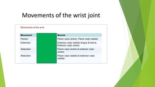 Hand and wrist joint | PPTX