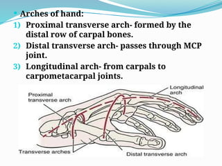 HAND assessment physiotherapy........... | PPTX