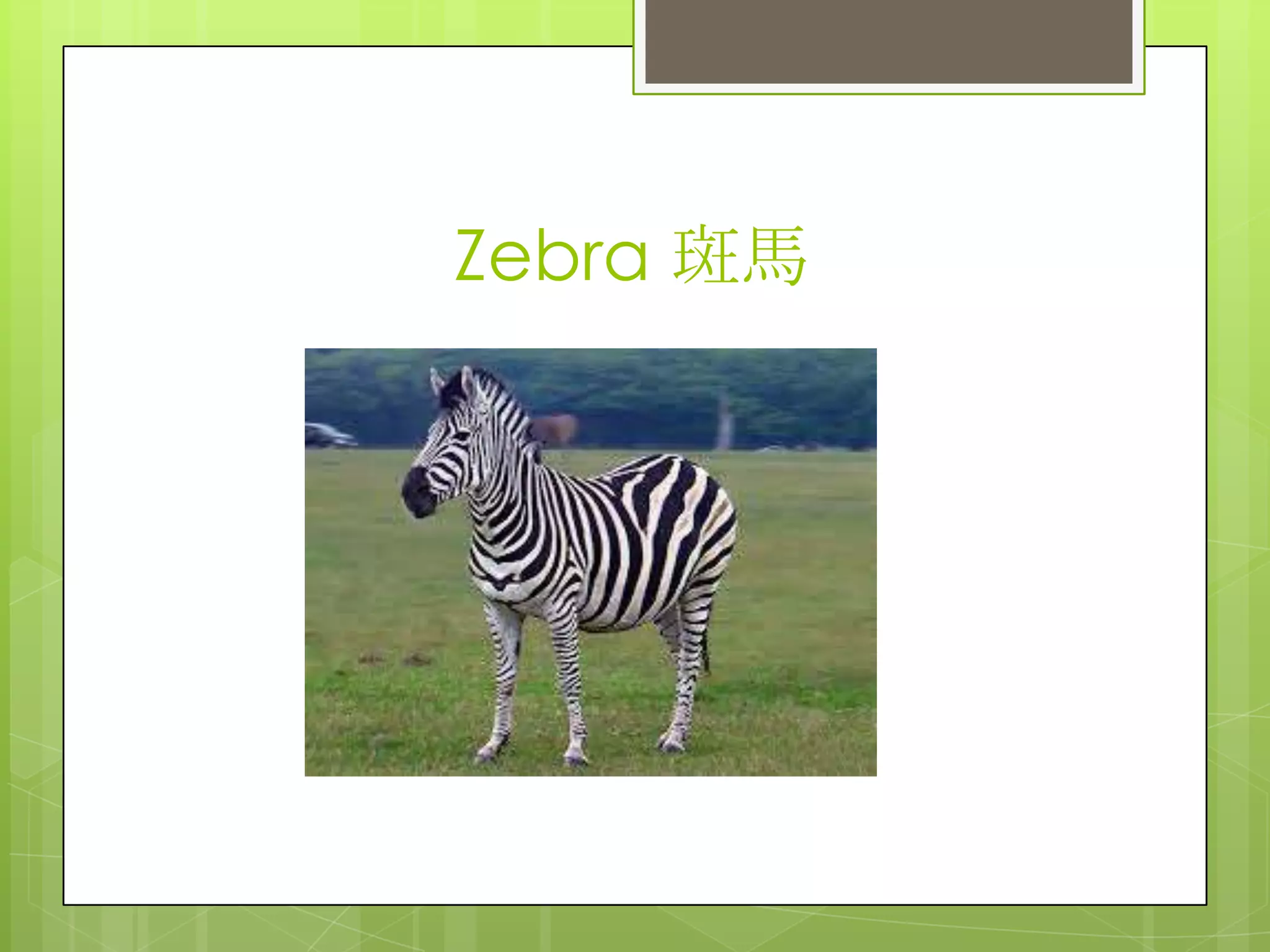 Handa's Surprise (with Chinese Translation) | PPTX