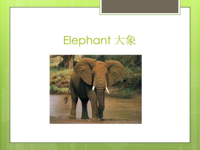 Handa's Surprise (with Chinese Translation) | PPTX