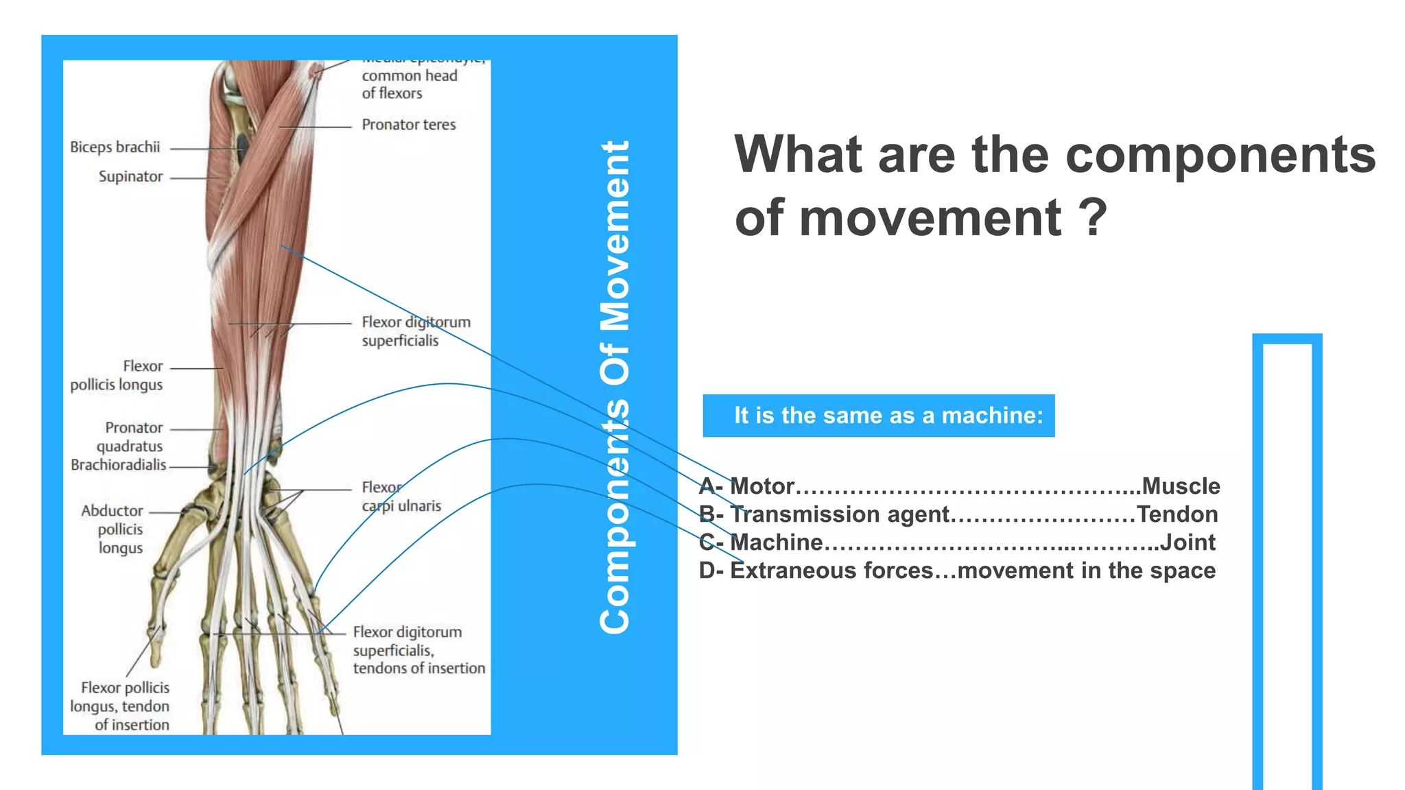 Hand anatomy and biomechanics wrist examination.pptx