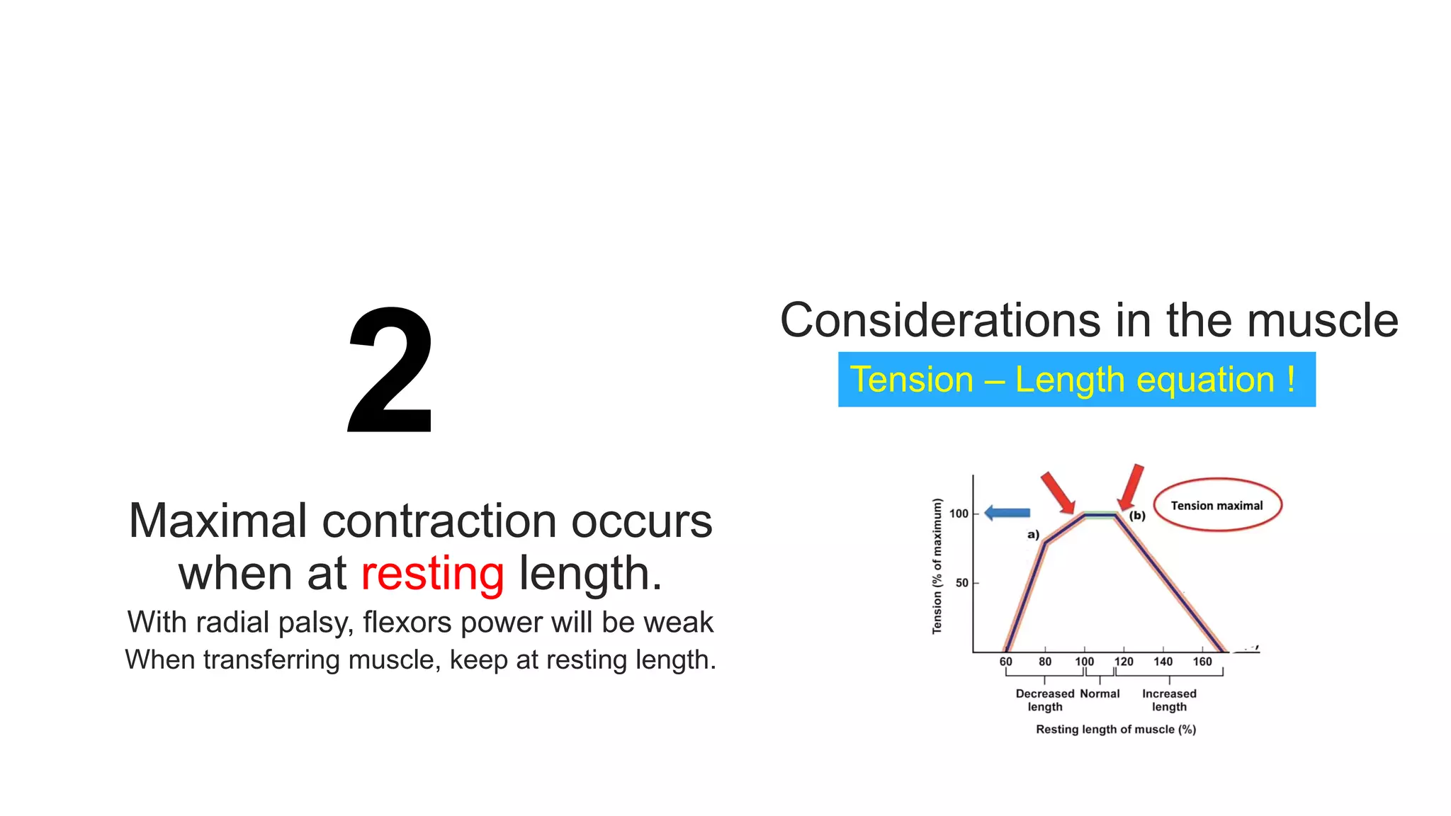 Hand anatomy and biomechanics wrist examination.pptx