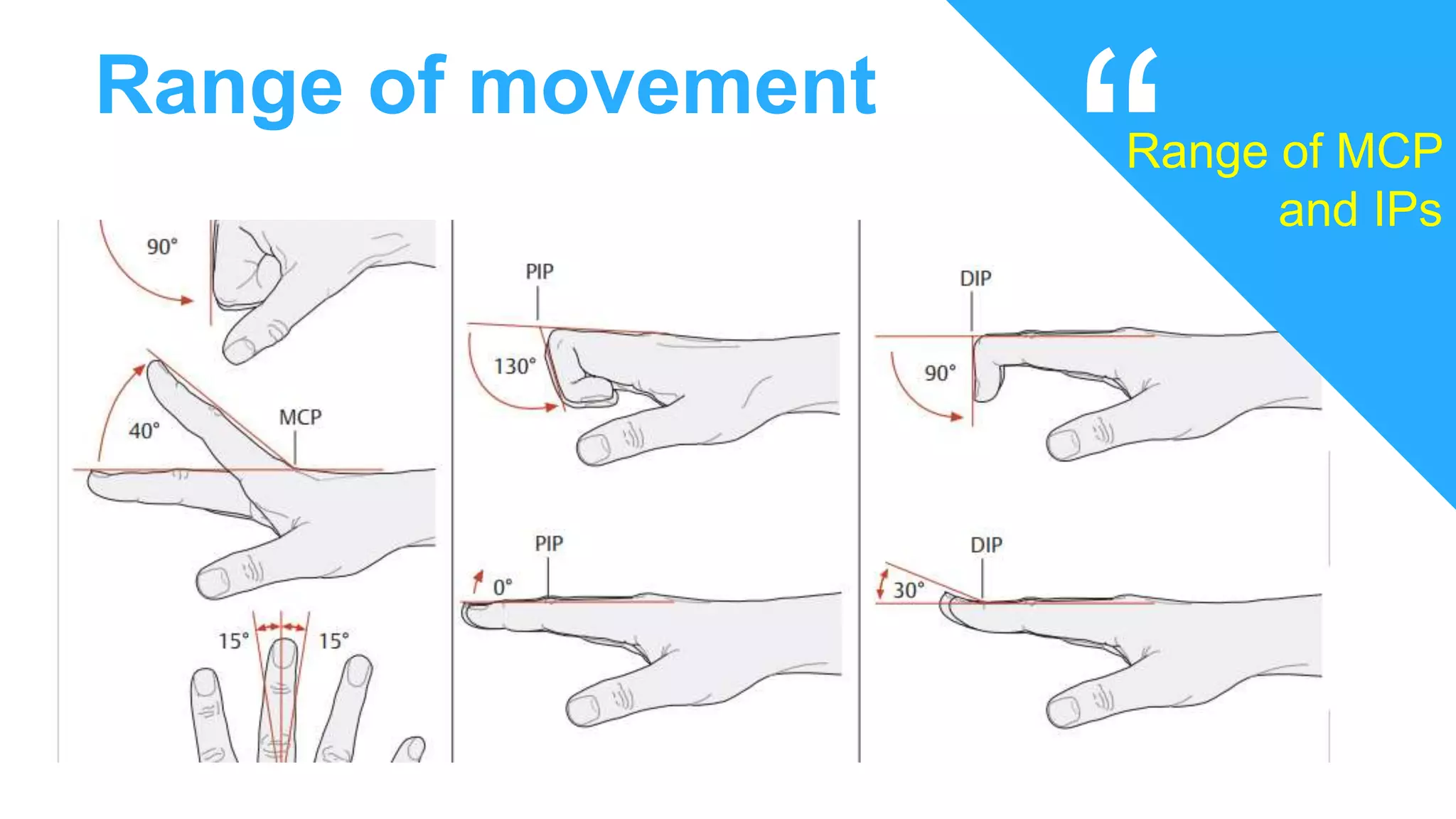 Hand anatomy and biomechanics wrist examination.pptx