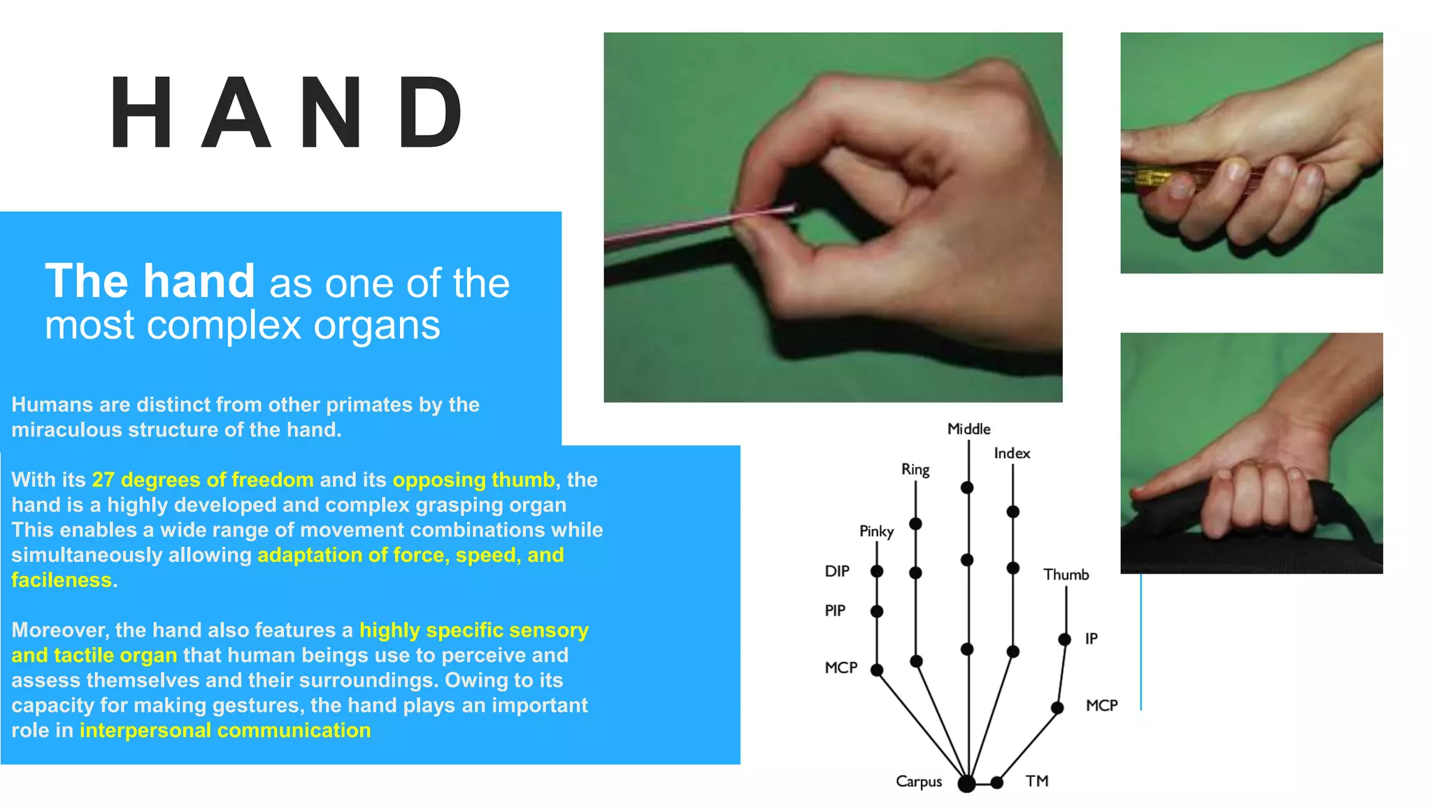 Hand anatomy and biomechanics wrist examination.pptx