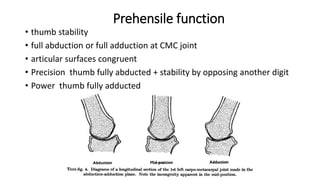 Hand biomechanics and basic functions | PPTX