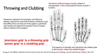 Hand biomechanics and basic functions | PPTX
