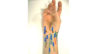 Hand biomechanics and basic functions | PPTX