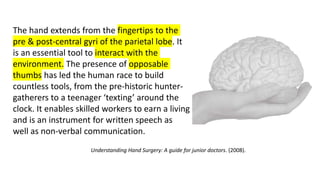 Hand biomechanics and basic functions | PPTX