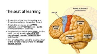 Hand biomechanics and basic functions | PPTX