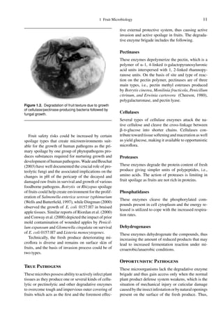 Handbook of Fruits and Fruit Processing | PDF