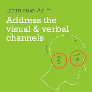 Brain rules 1, 2, 3: Put neuroscience in your presentations | PDF